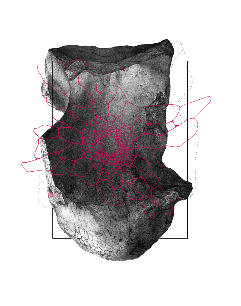 Centurial | Skillshare Student Project