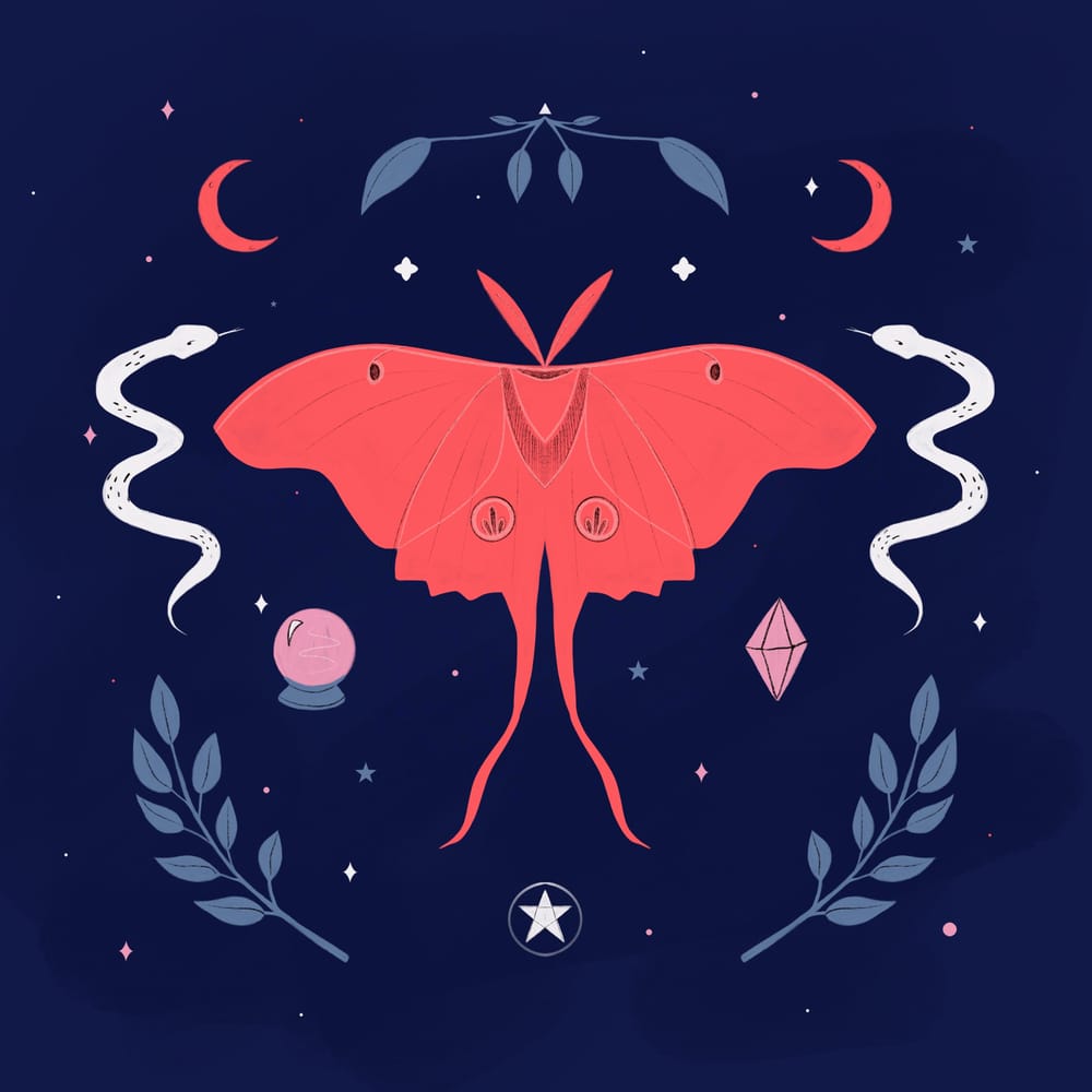 Mystical Moth | Skillshare Student Project