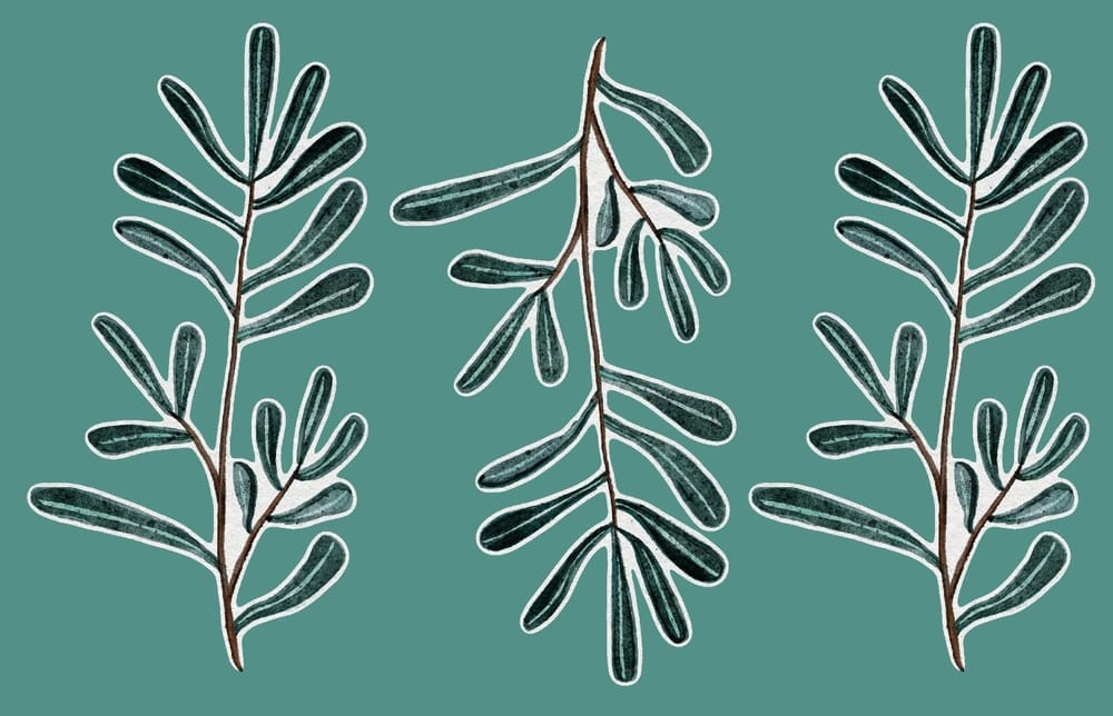 Stickers | Skillshare Student Project