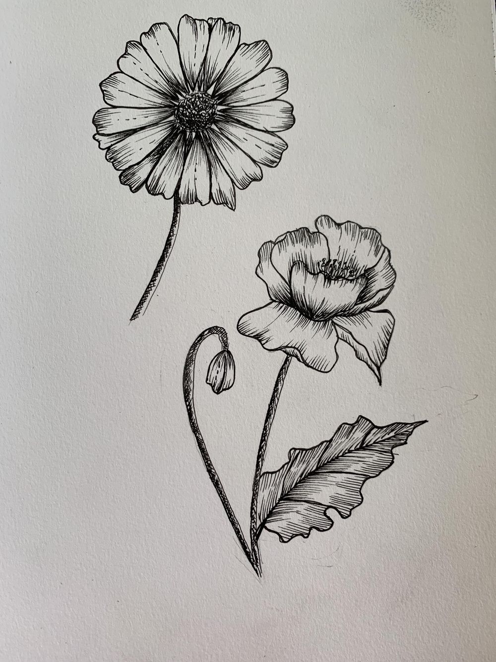 Shading 101 | Skillshare Student Project