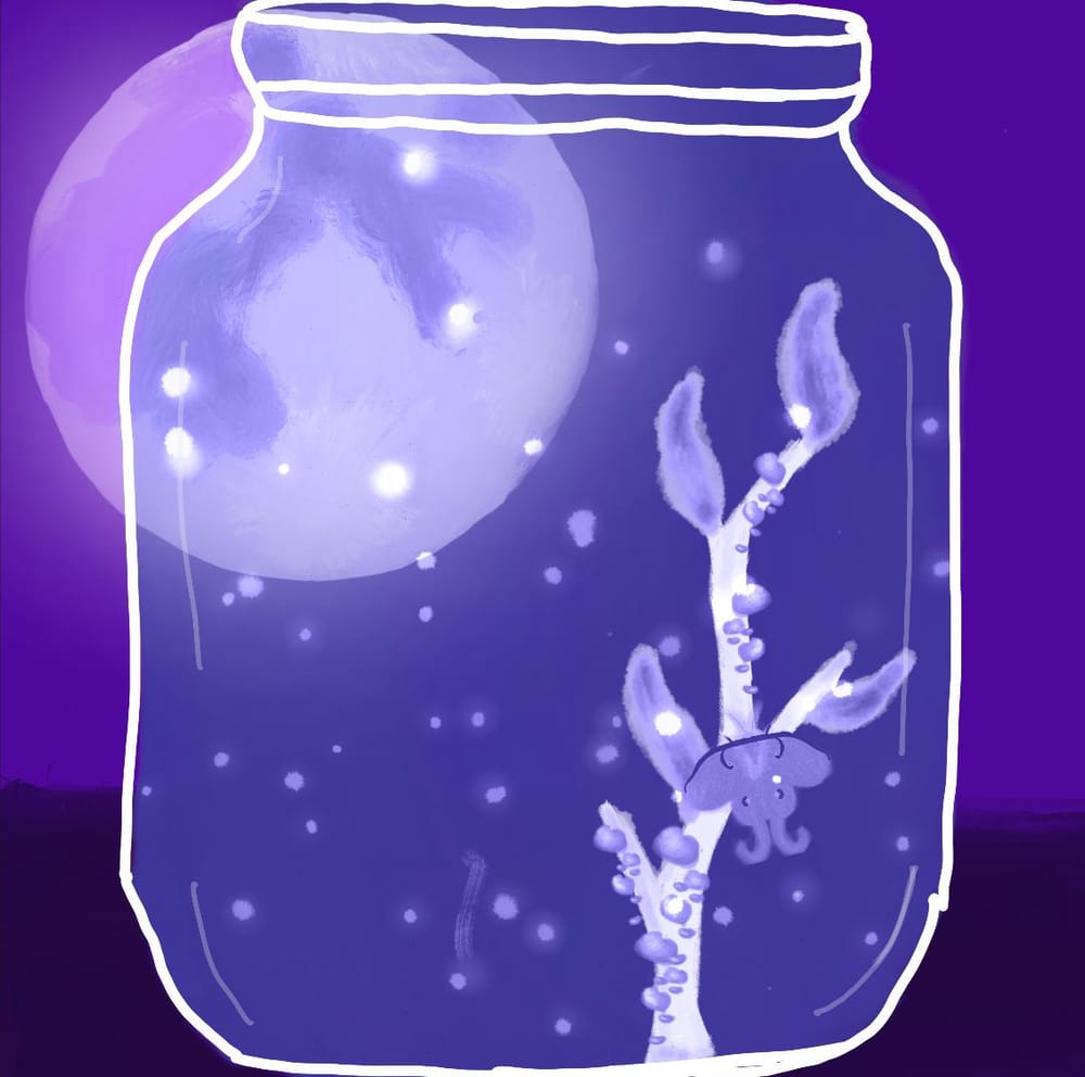 Night in a jar | Skillshare Student Project