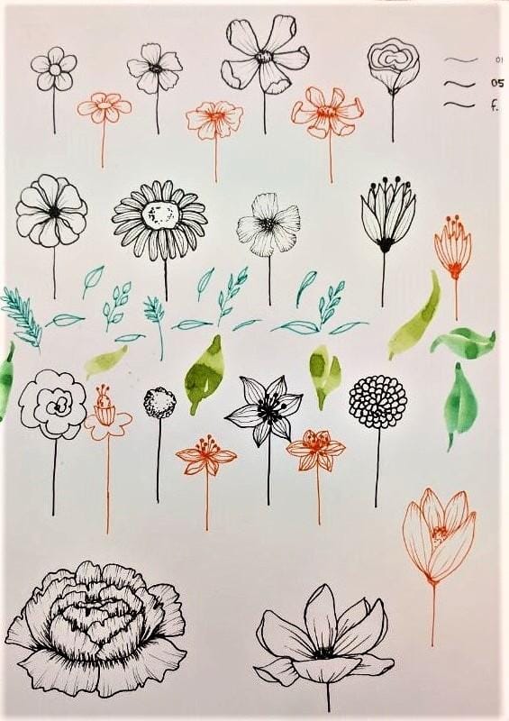 Same flower in 3 different ways | Skillshare Student Project