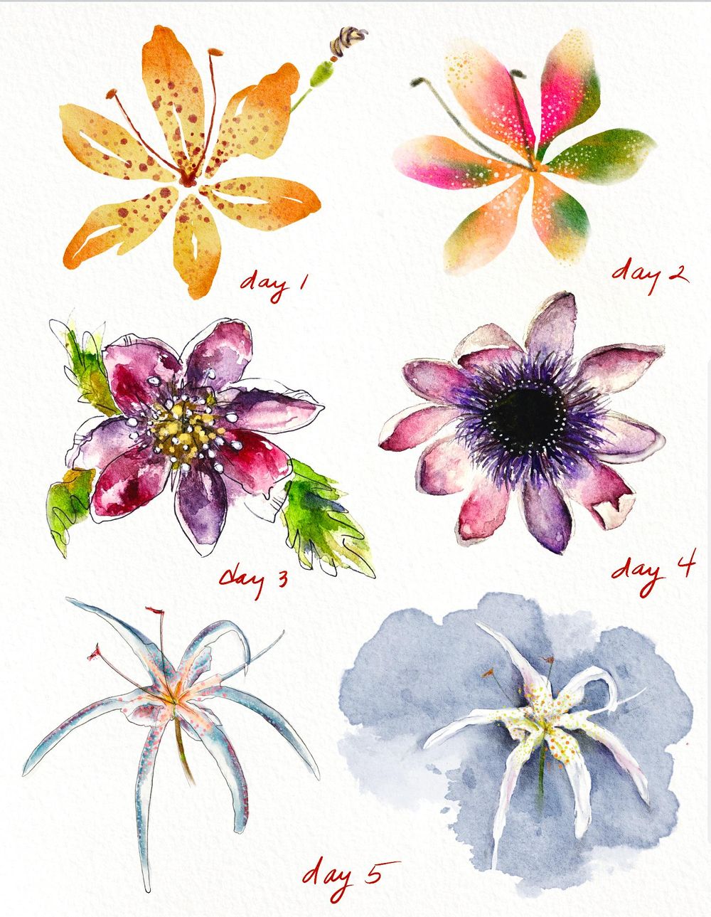 Flower study | Skillshare Student Project