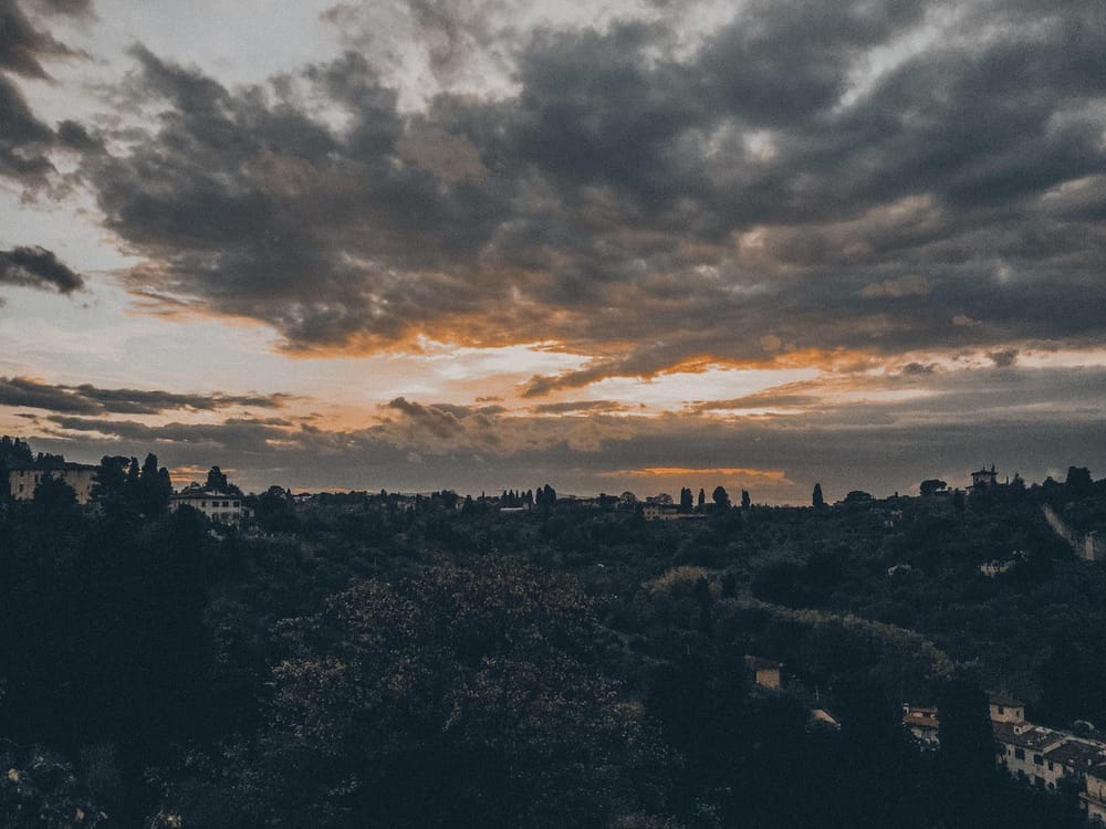 Florence-Inspired Surface Pattern Design | Skillshare Student Project