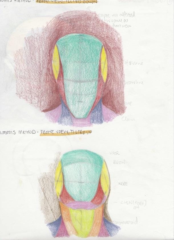 Portrait Studies - The Loomis Method | Skillshare Student Project