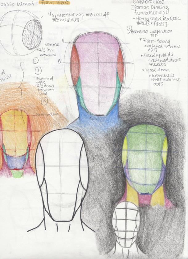 Portrait Studies - The Loomis Method | Skillshare Student Project