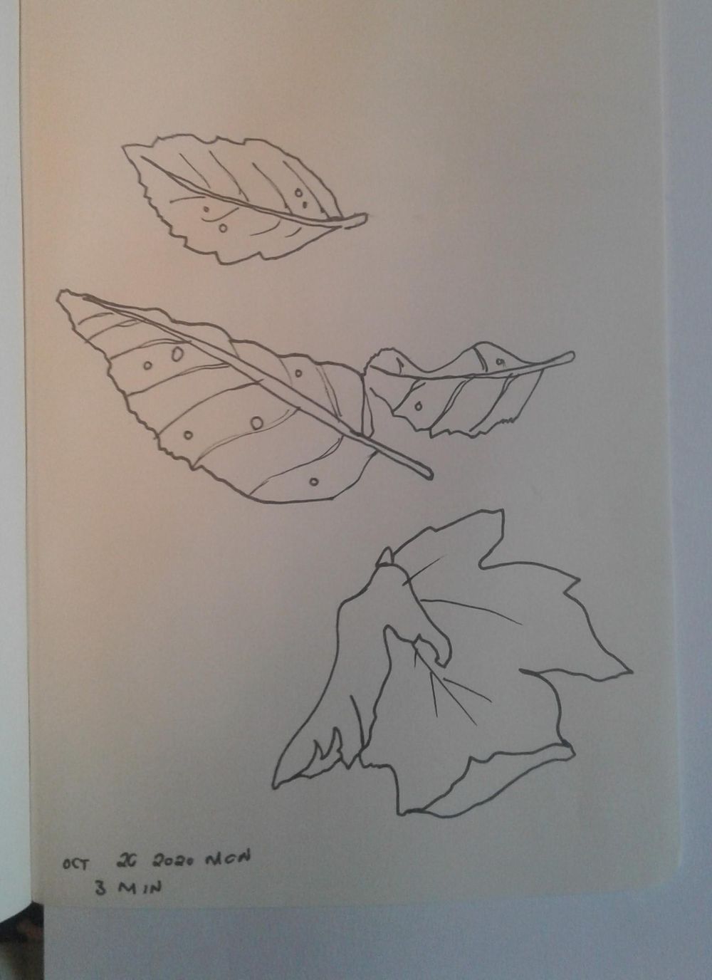 3 Minute Sketches | Skillshare Student Project