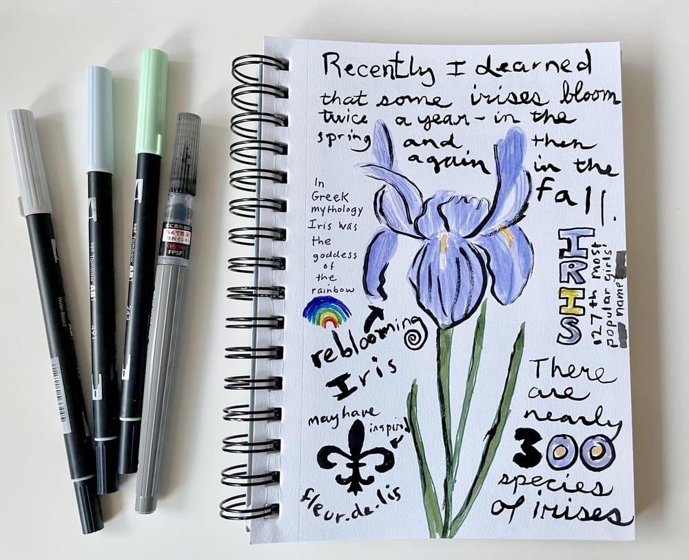 Illustrated journaling project | Skillshare Student Project
