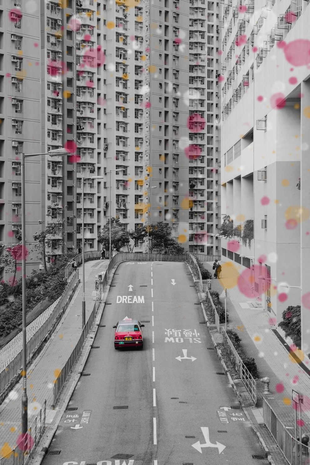 Photoshop Essentials | Skillshare Student Project