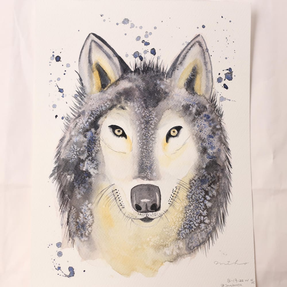 Watercolor effects-wolf/feather | Skillshare Student Project