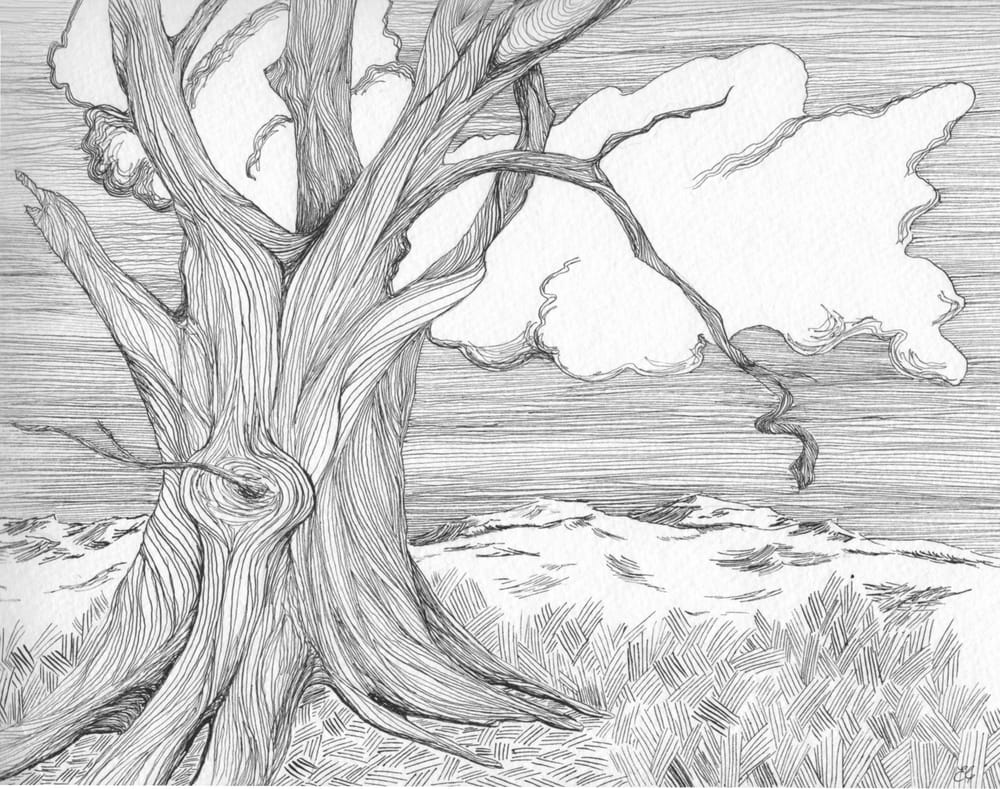 English Tree | Skillshare Student Project