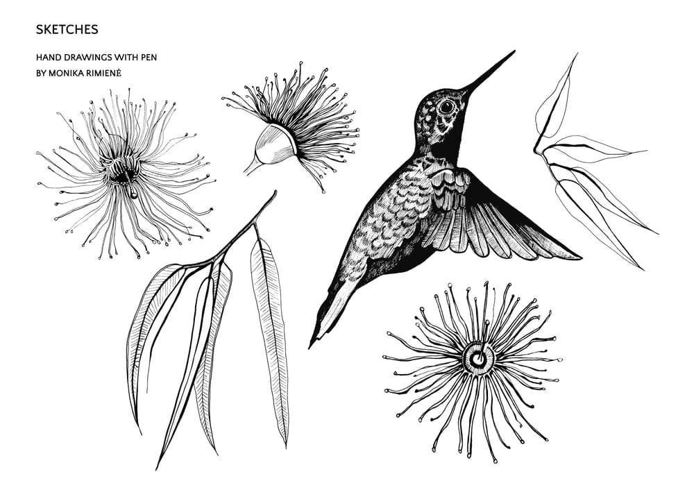 Hummingbird Pattern Design | Skillshare Student Project