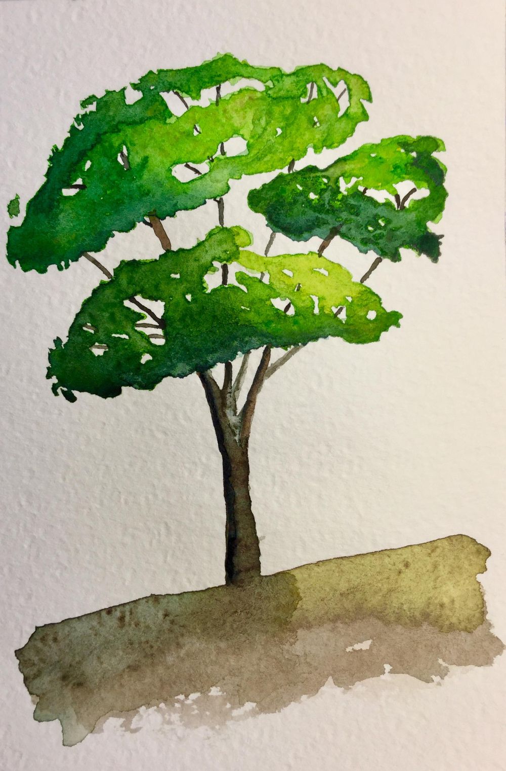 Trees | Skillshare Student Project