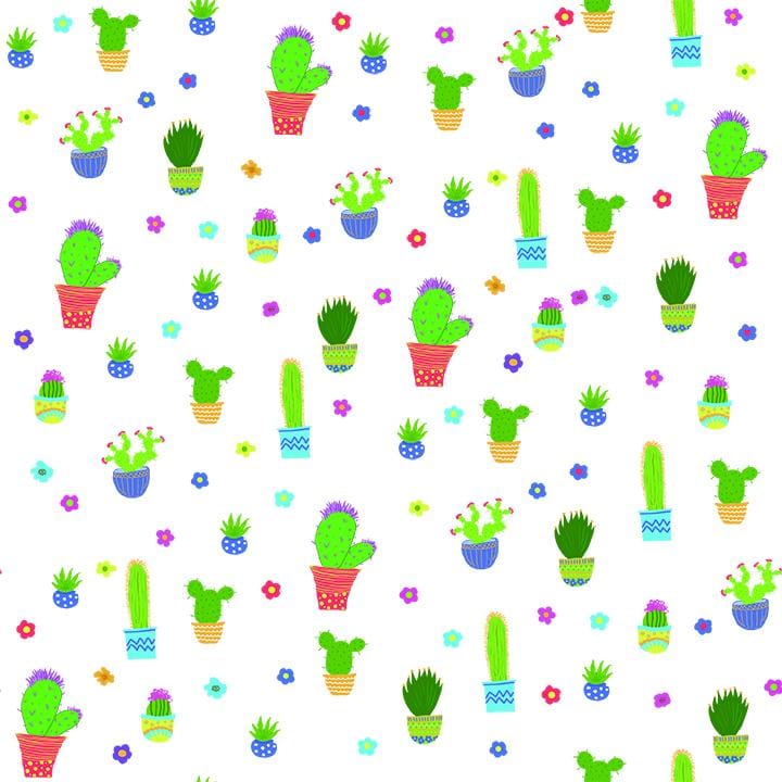Cacti Love | Skillshare Student Project