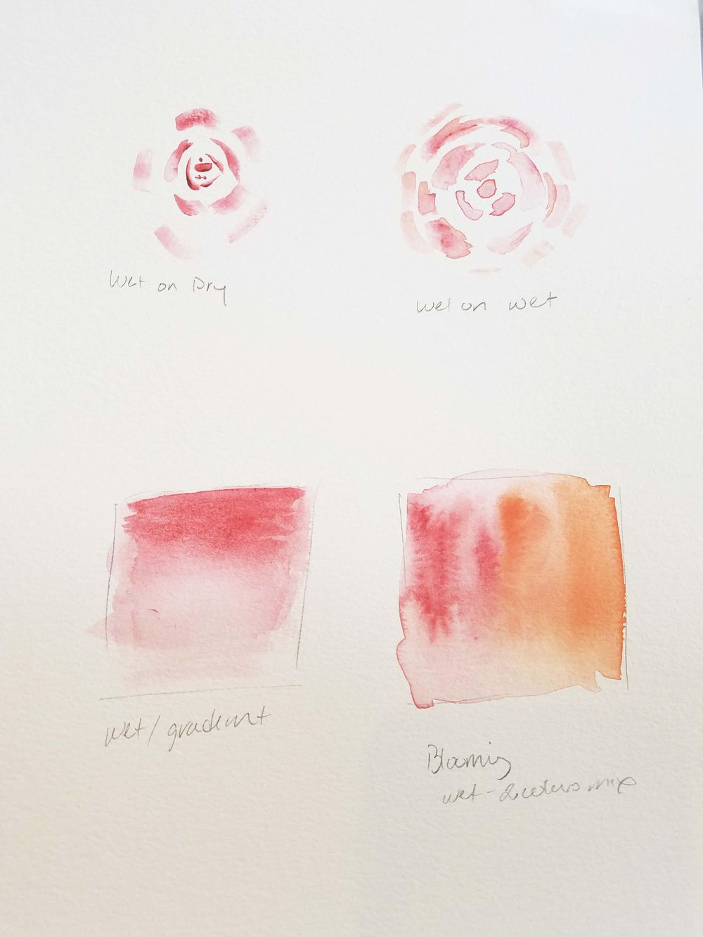 Watercolor flowers | Skillshare Student Project