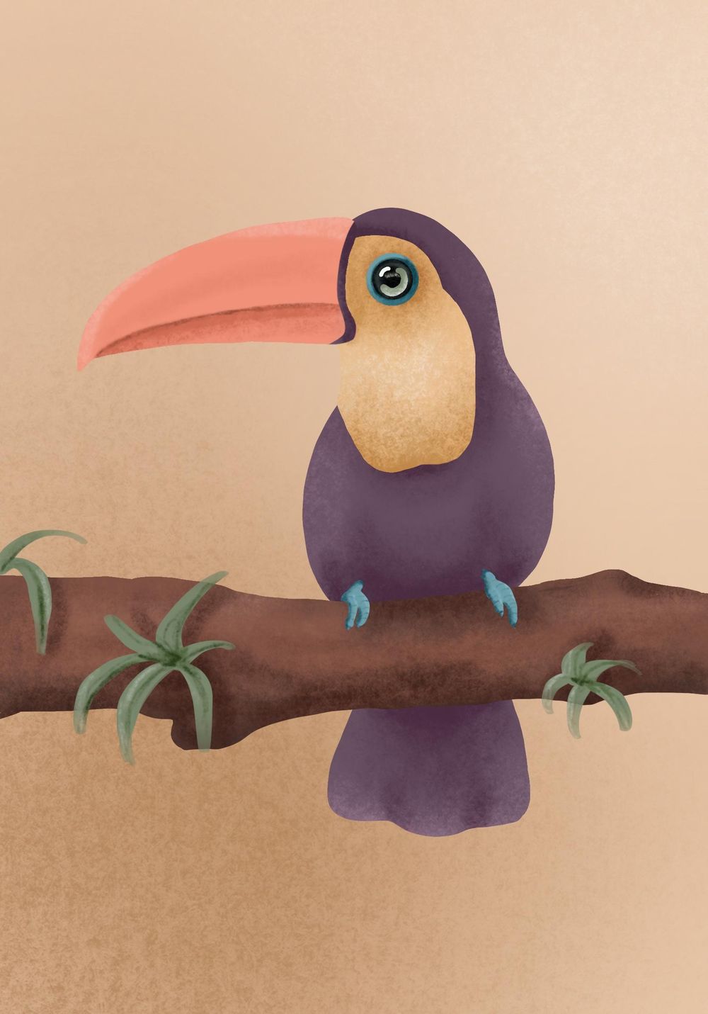 Toucan - realistic and fun approach | Skillshare Student Project