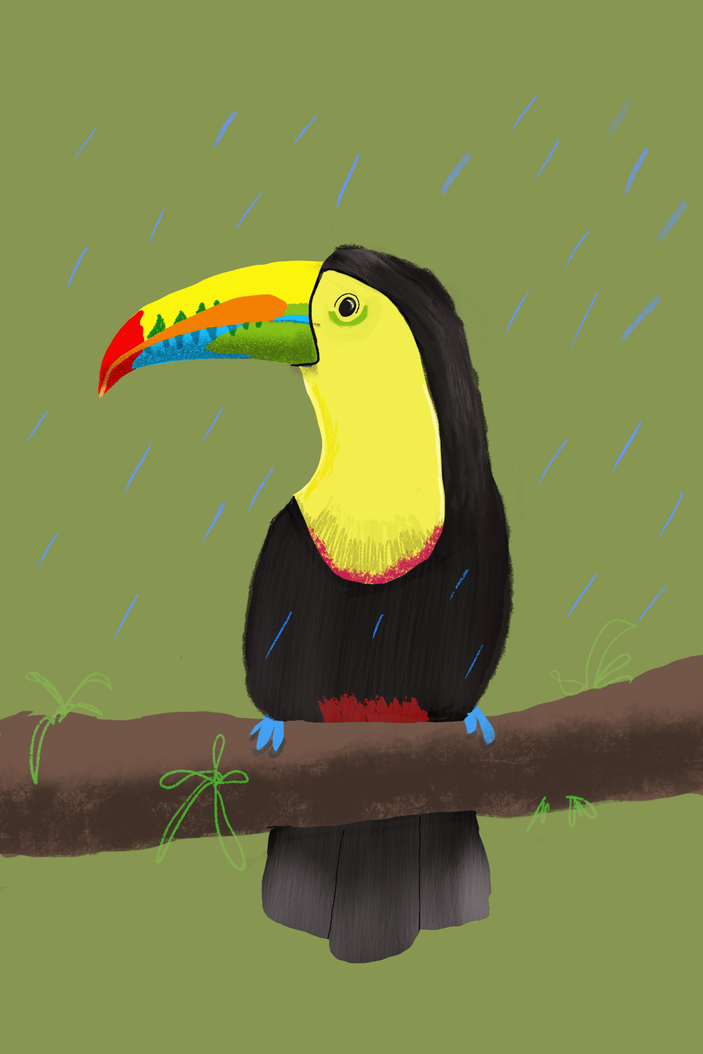 Toucan shapes | Skillshare Student Project