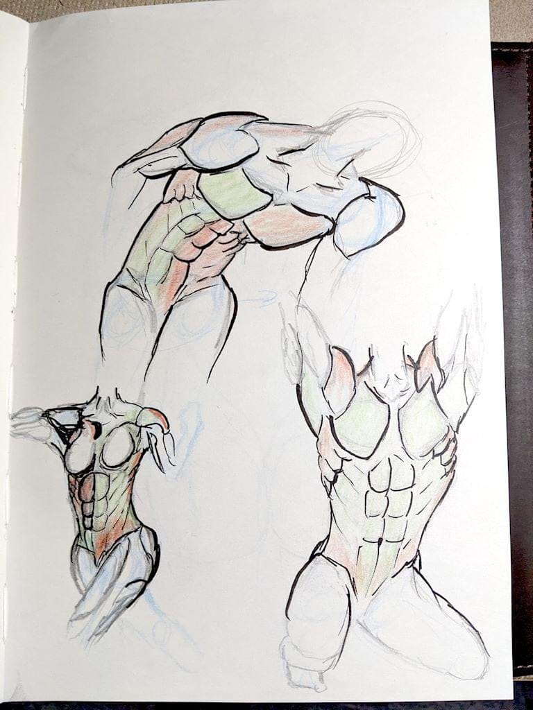 Learning how to draw human bodies | Skillshare Student Project