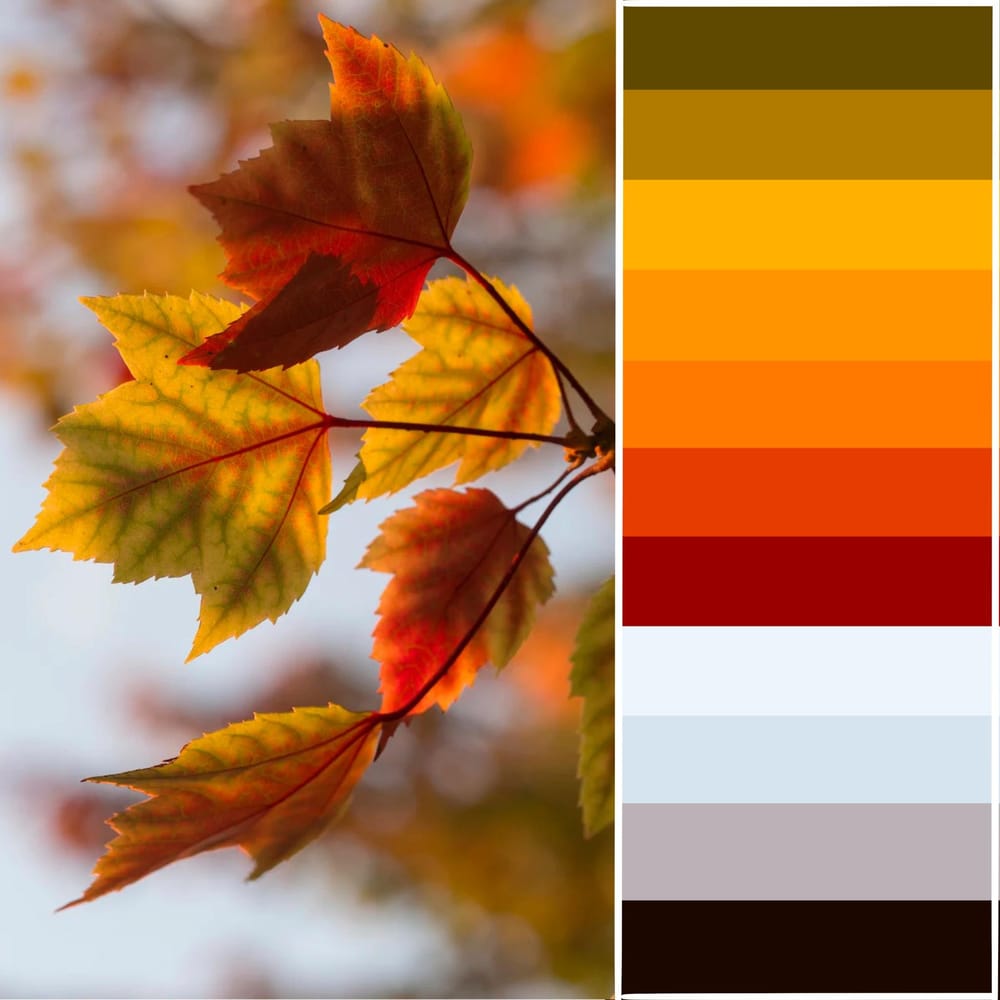 Procreate Palette Projects | Skillshare Student Project