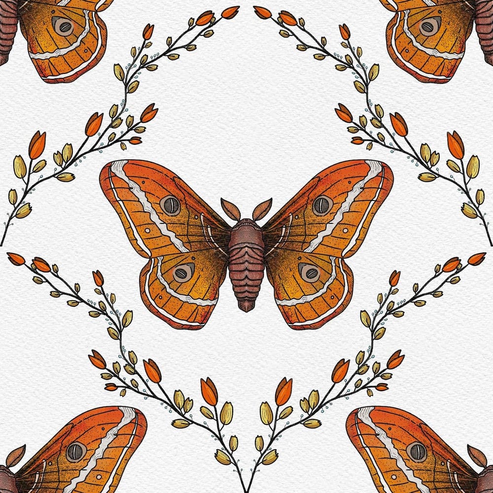 Moth pattern | Skillshare Student Project