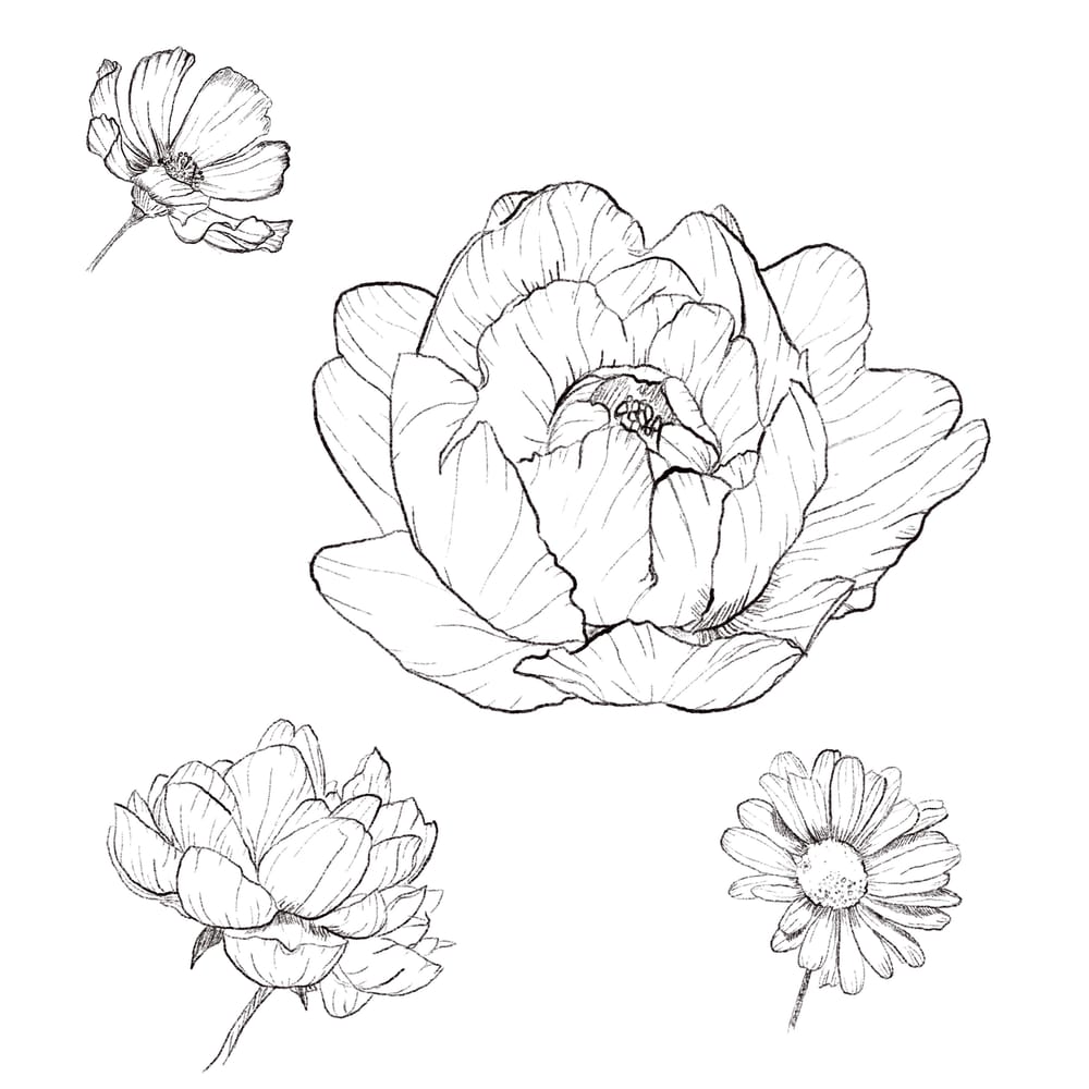 Flower study | Skillshare Student Project