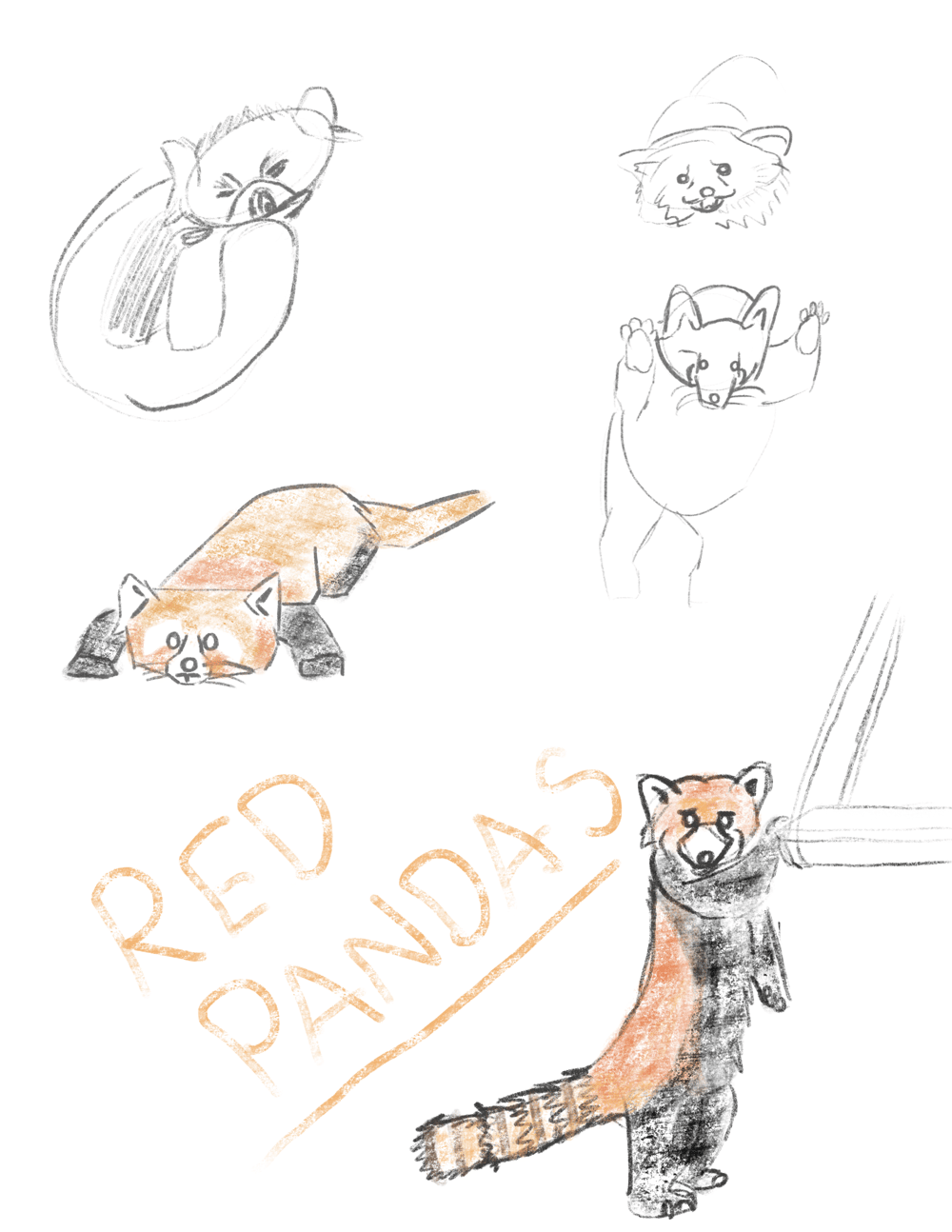 Digital Sketchbook Pt. 1 | Skillshare Student Project