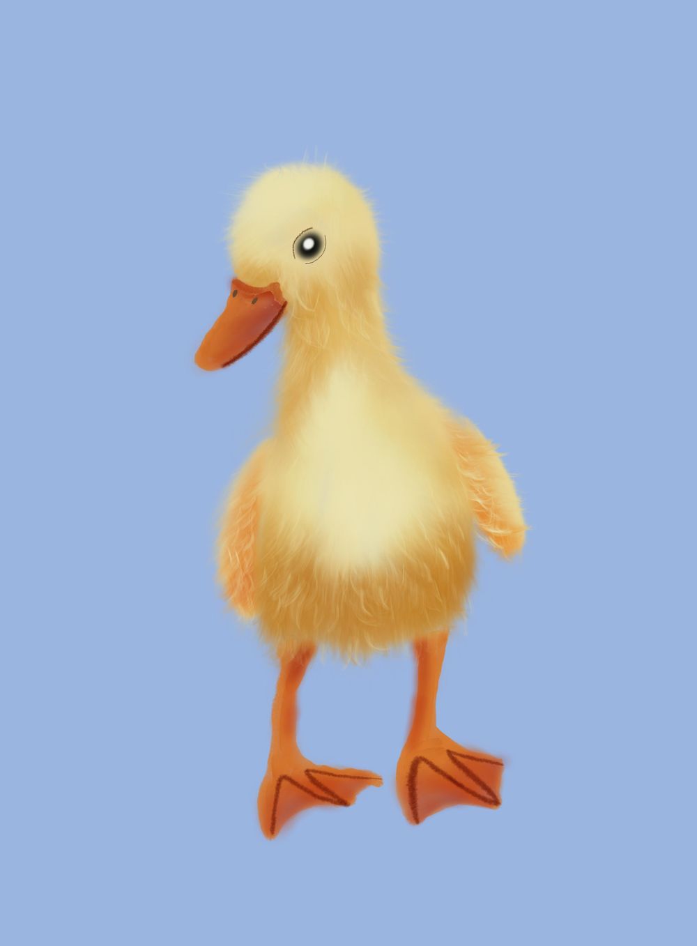 Duck | Skillshare Student Project