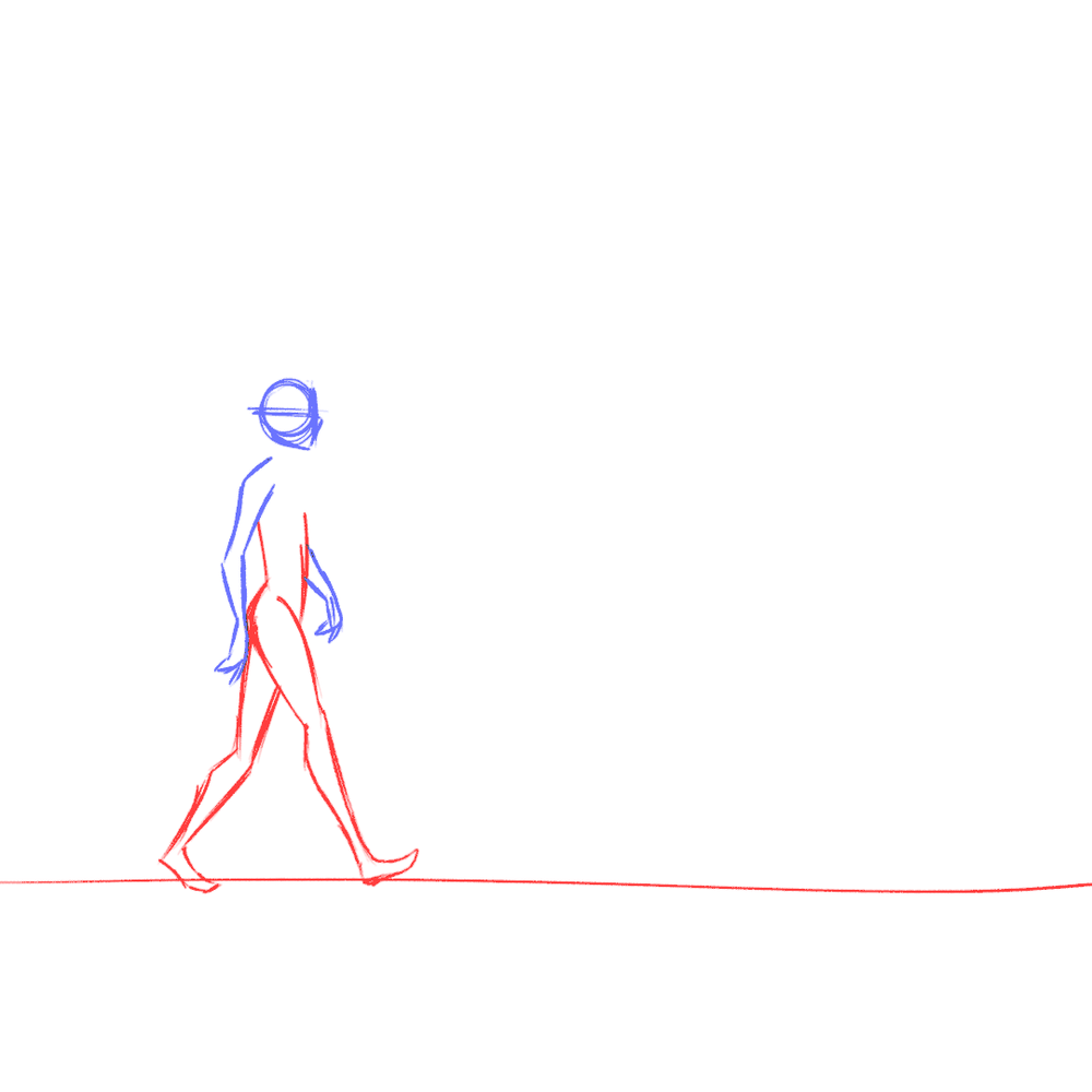 Walk cycle | Skillshare Student Project