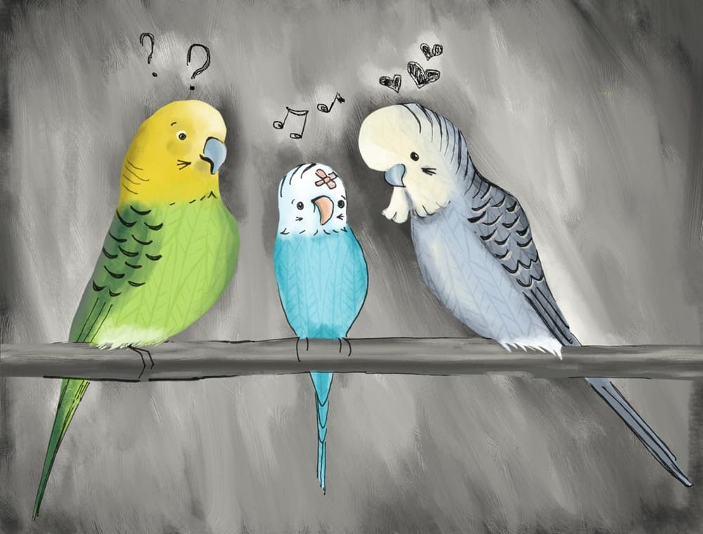 The Three Amigos | Skillshare Student Project