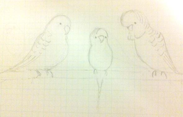 The Three Amigos | Skillshare Student Project