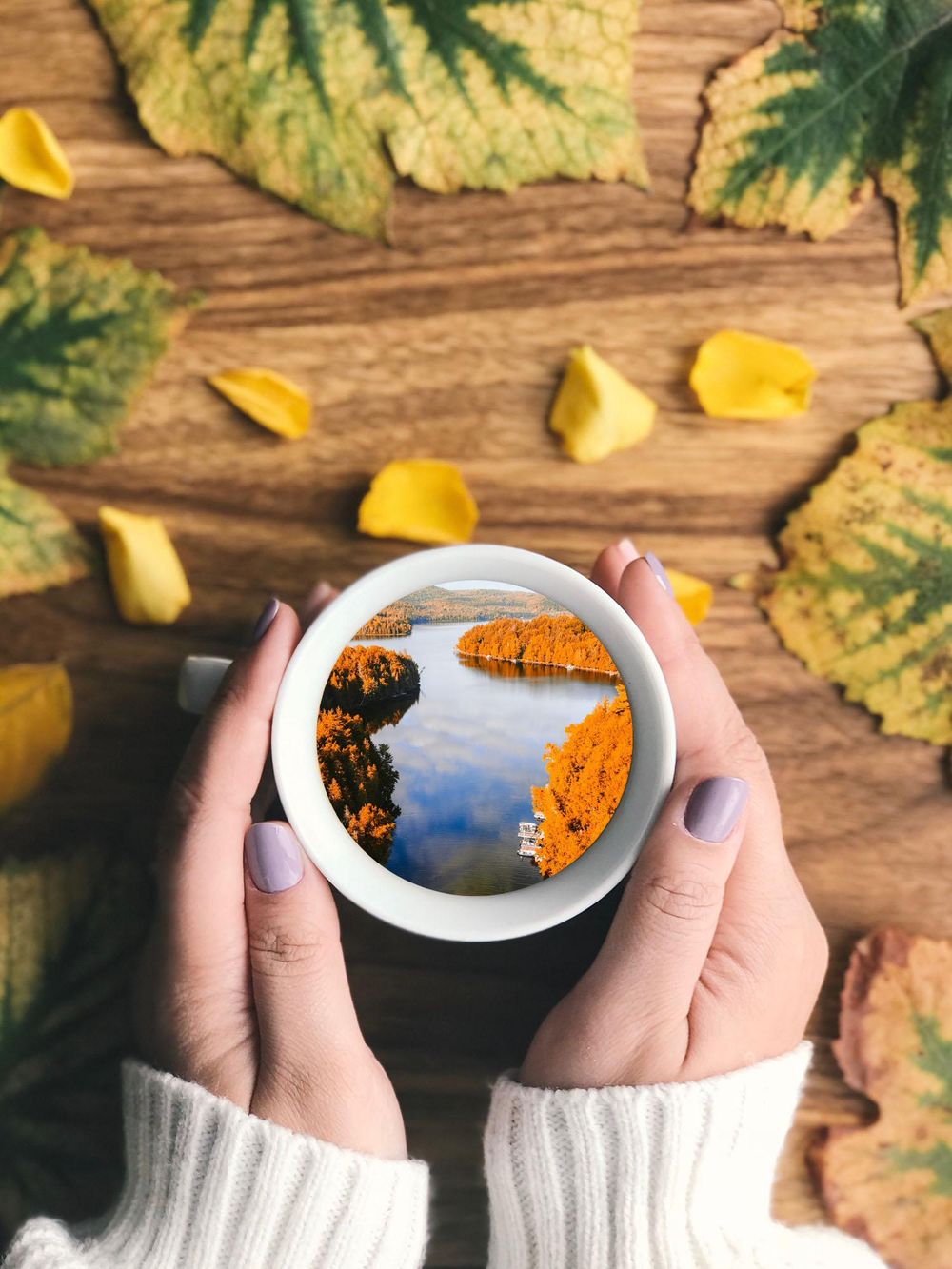 Class Projects | Skillshare Student Project