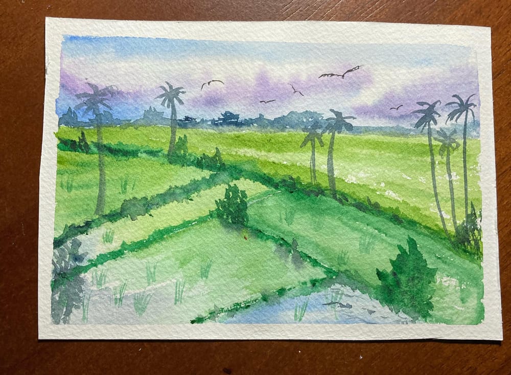 My paddy field projects | Skillshare Student Project