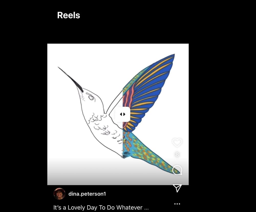 Fun Reels for Instagram! | Skillshare Student Project