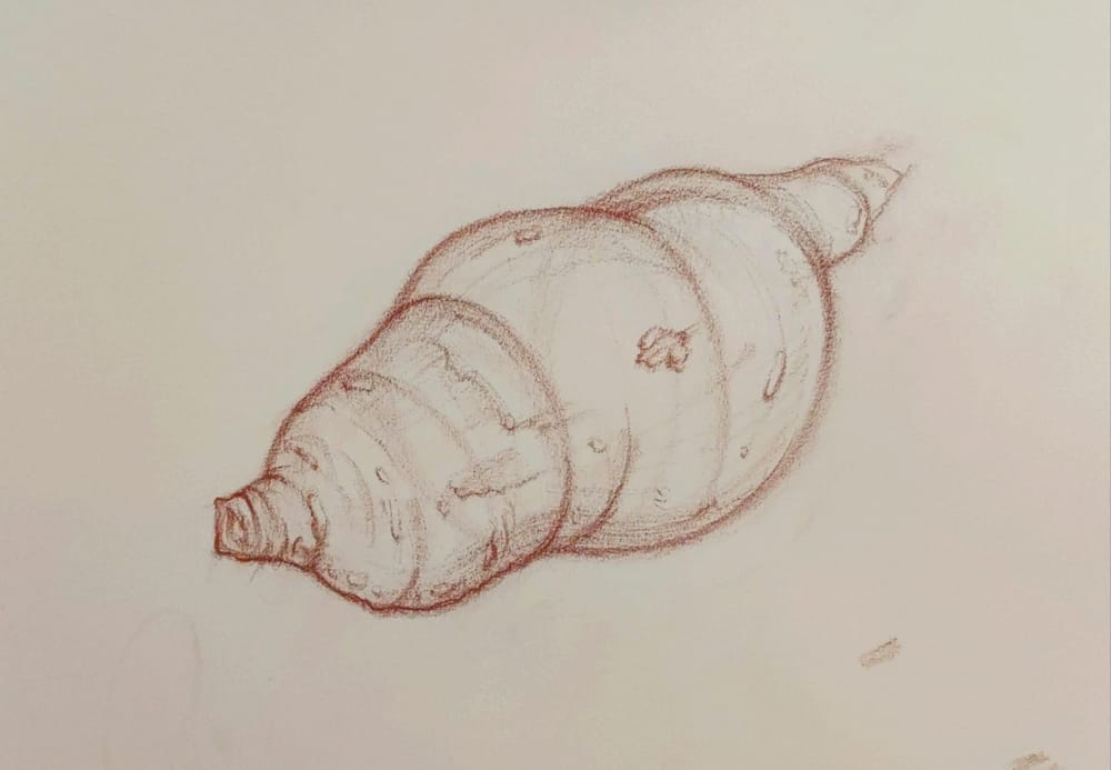 Drawing with Compelling Contours & Forshortening | Skillshare Student ...