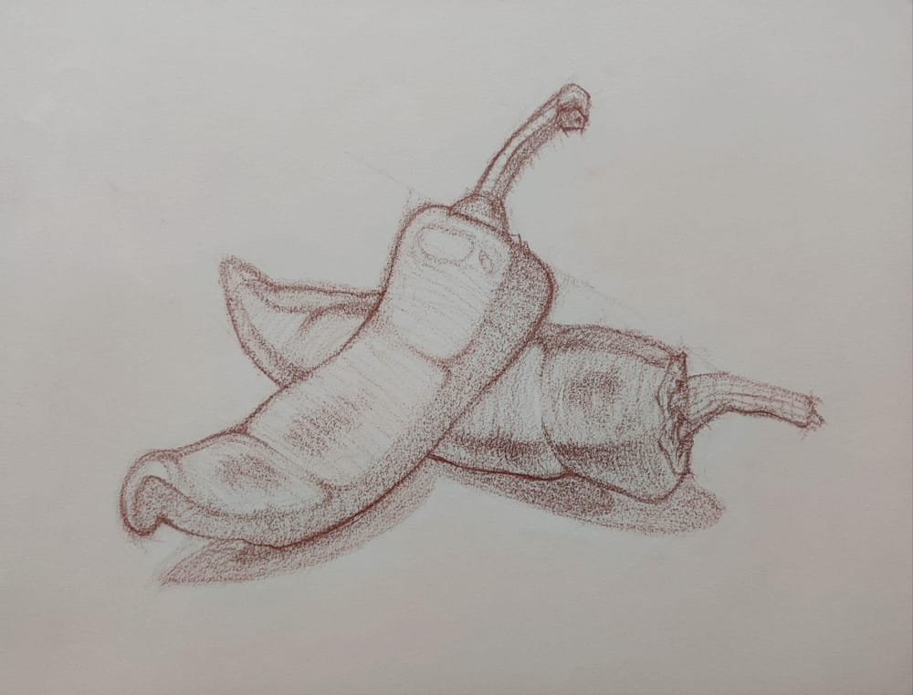 Drawing with Compelling Contours & Forshortening | Skillshare Student ...