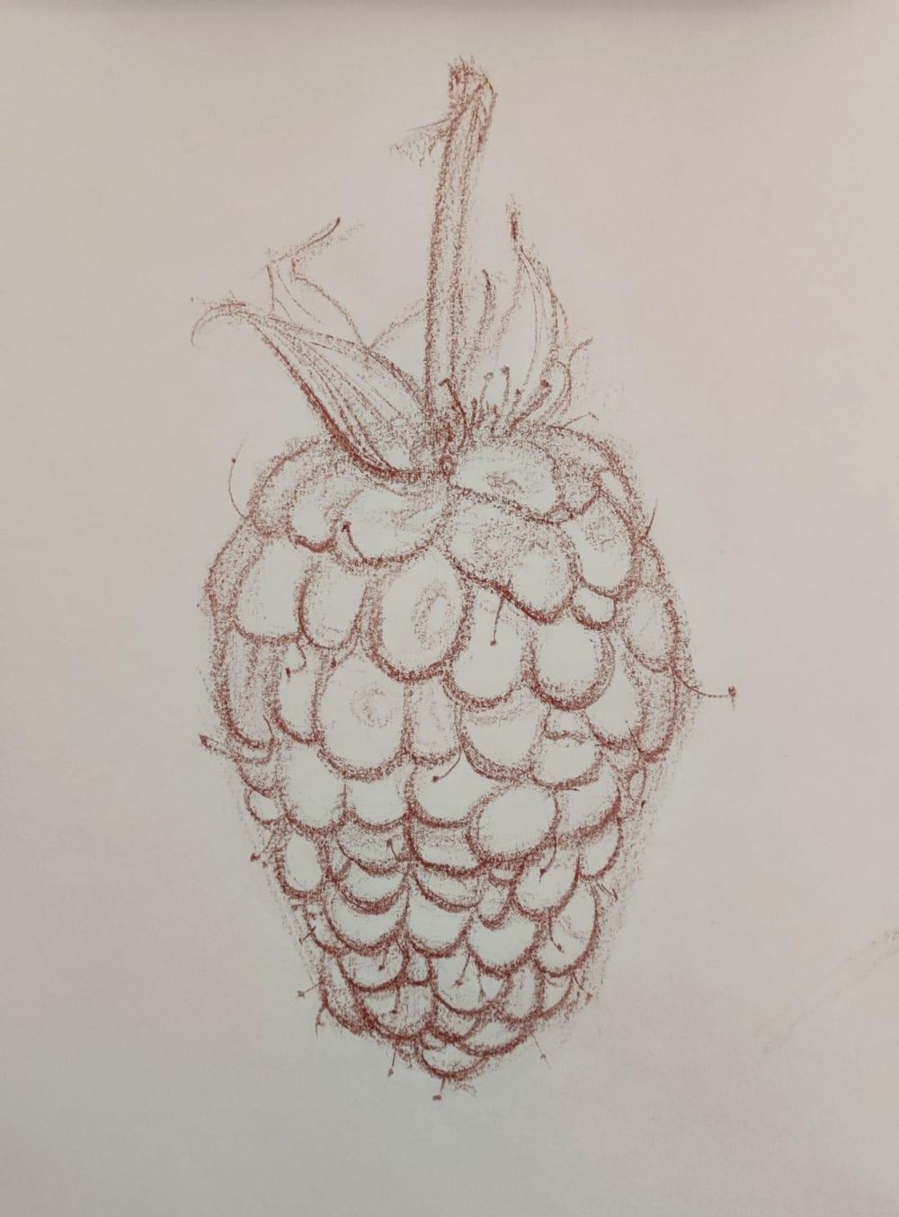 Drawing with Compelling Contours & Forshortening | Skillshare Student ...