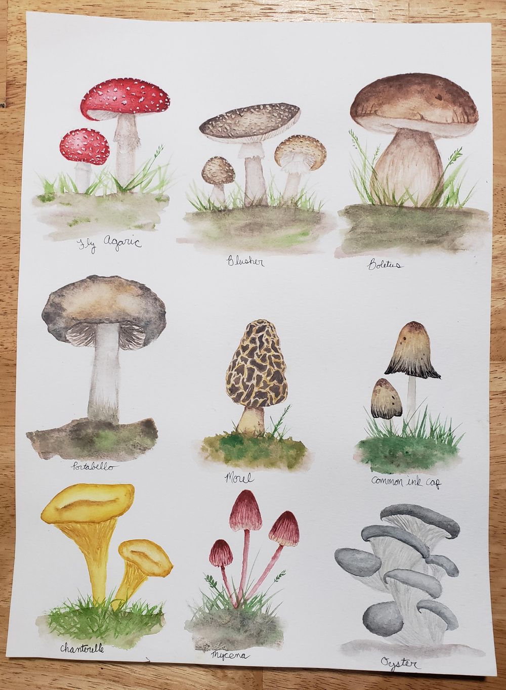 Mushroom Chart | Skillshare Student Project