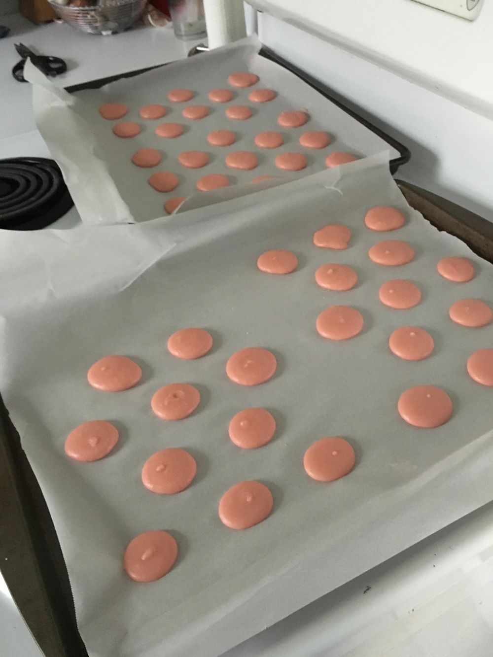 Pink Vanilla Macarons - 1st attempt!! | Skillshare Student Project