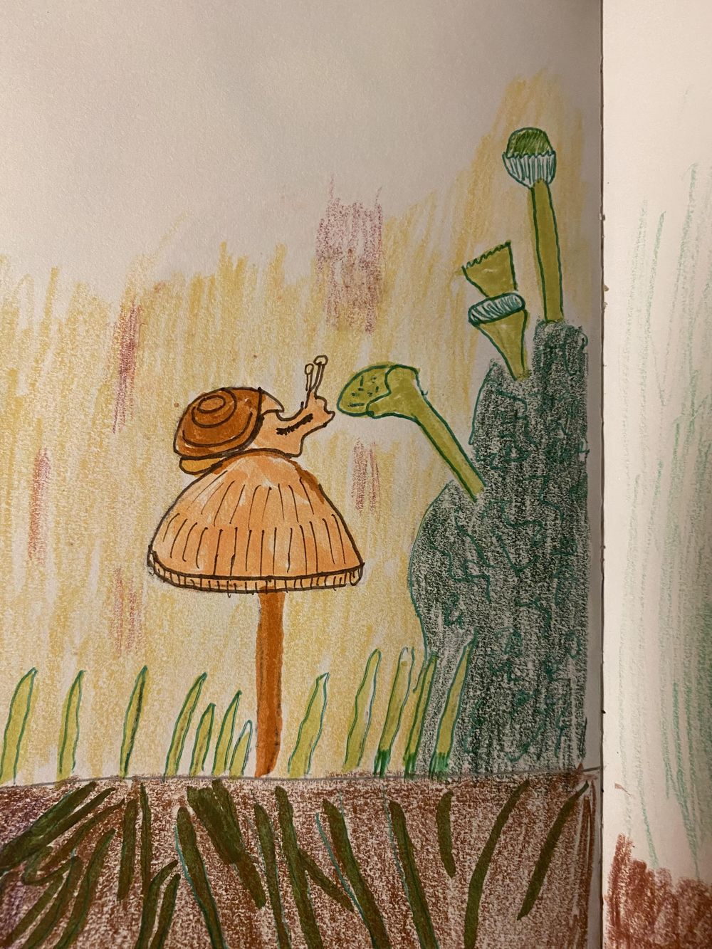 30 DAY DRAWINGS | Skillshare Student Project