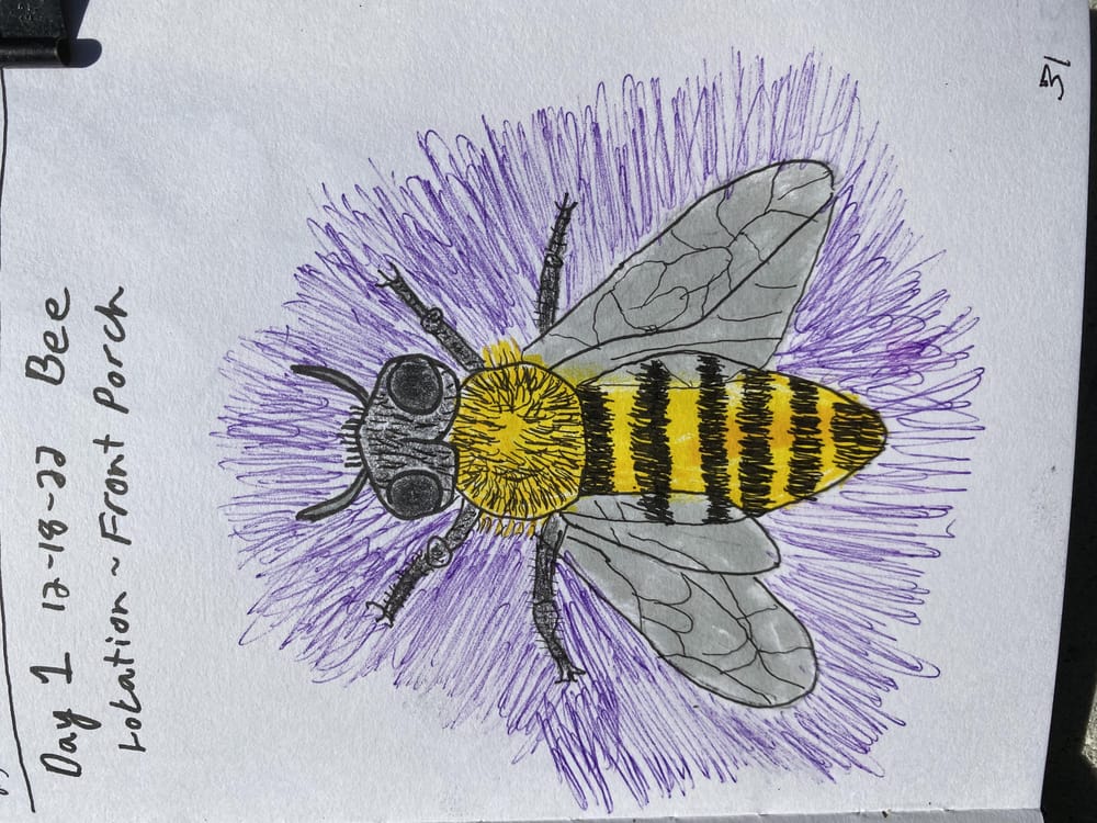 30 DAY DRAWINGS | Skillshare Student Project