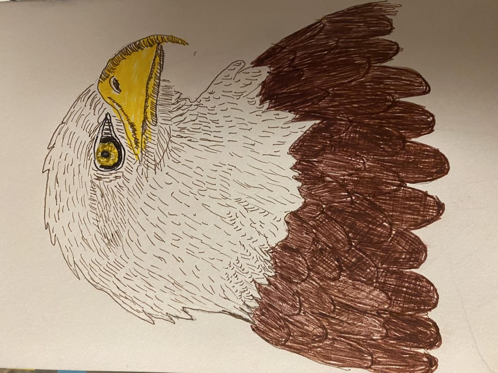 30 DAY DRAWINGS | Skillshare Student Project