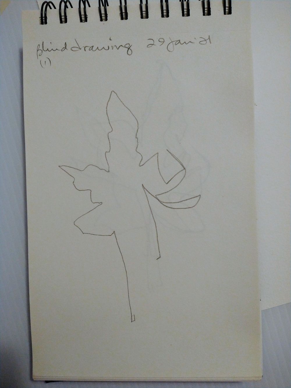 Blind drawing | Skillshare Student Project