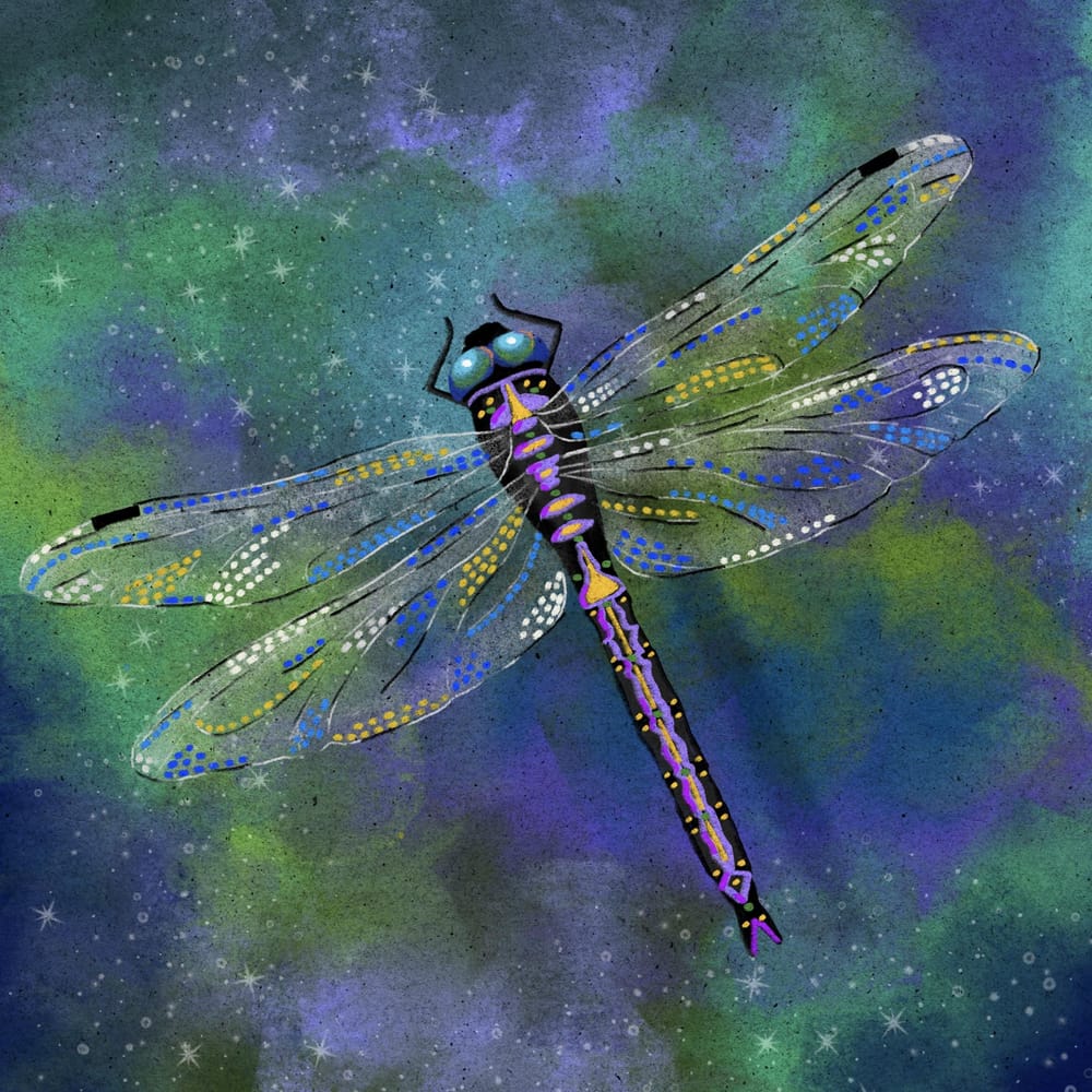 Magical Pastel Dragonfly | Skillshare Student Project