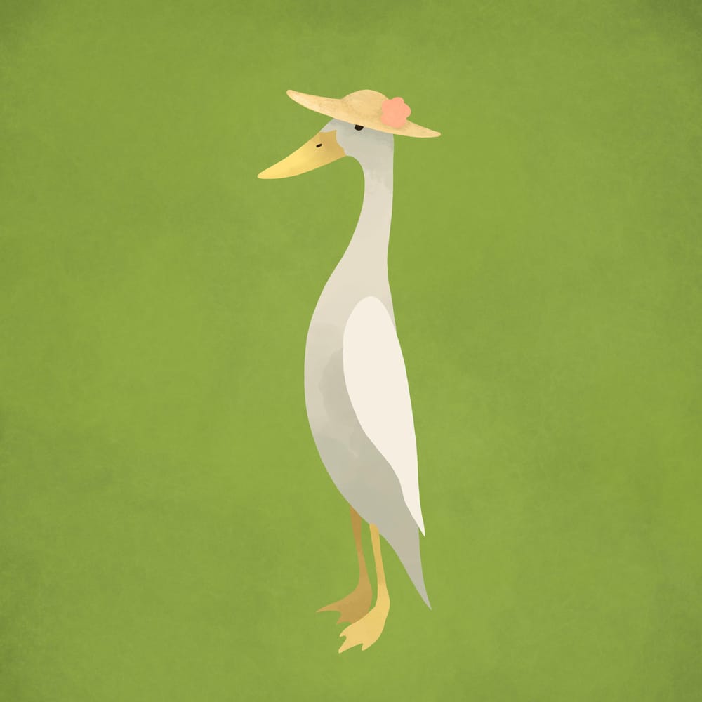 Runner Duck | Skillshare Student Project