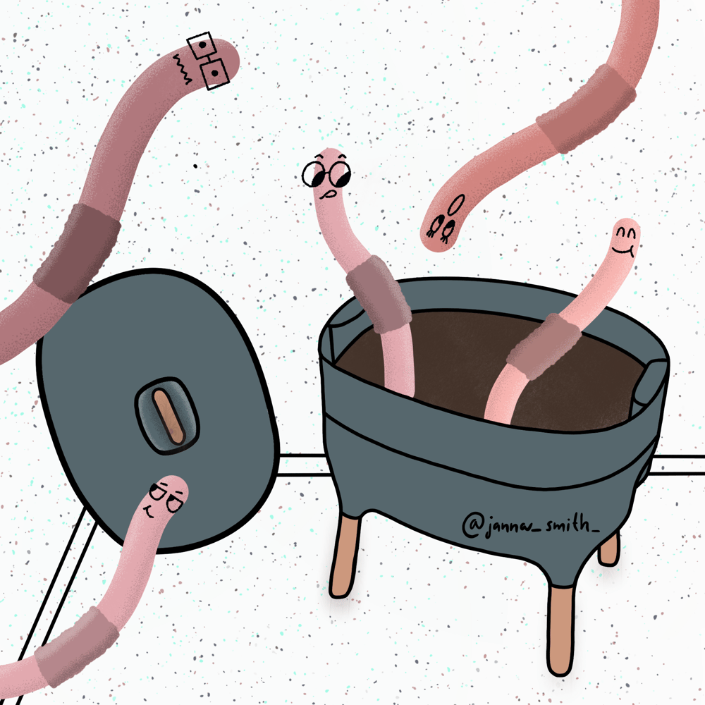 Composting worms | Skillshare Student Project