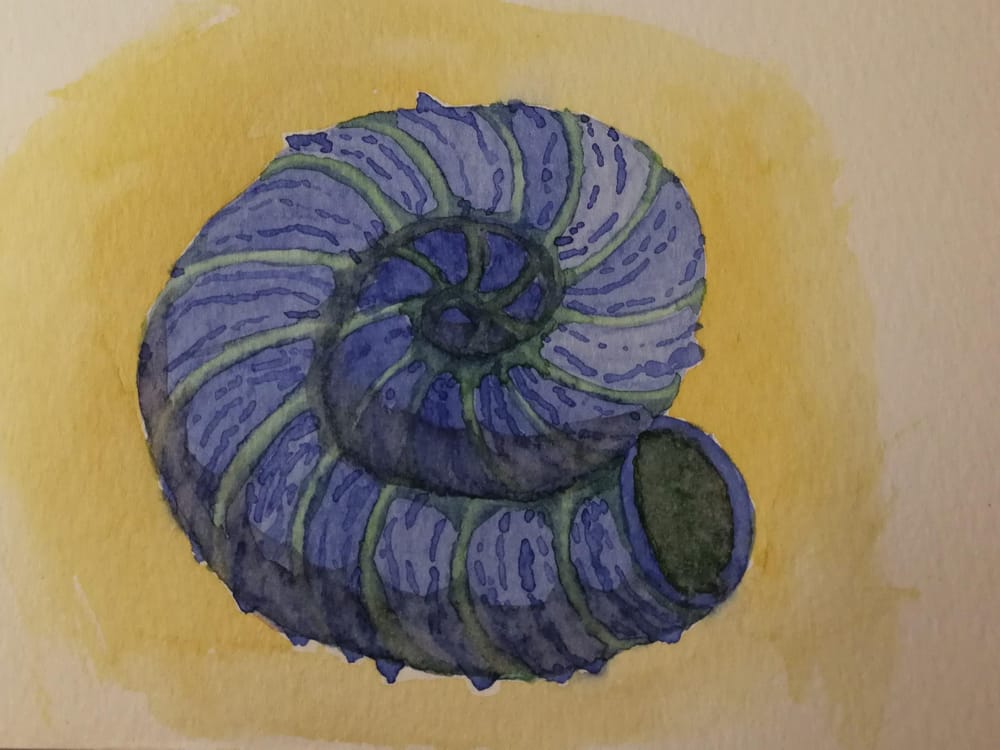 Watercolor....? | Skillshare Student Project