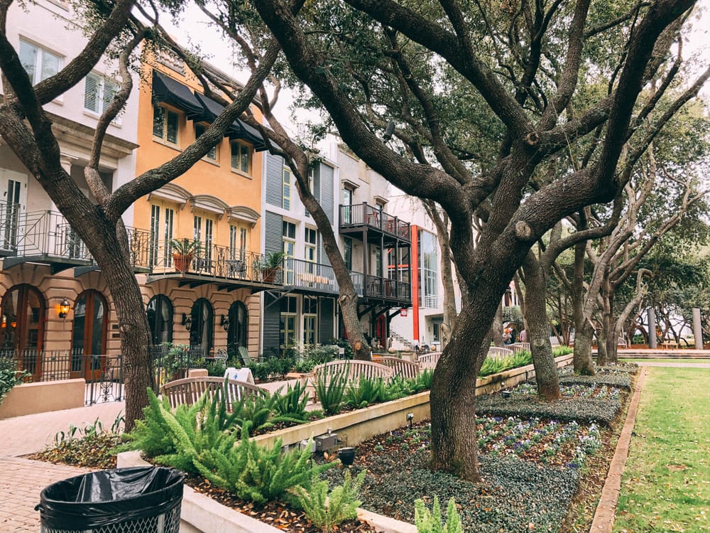 5 Photo Theme | Skillshare Student Project