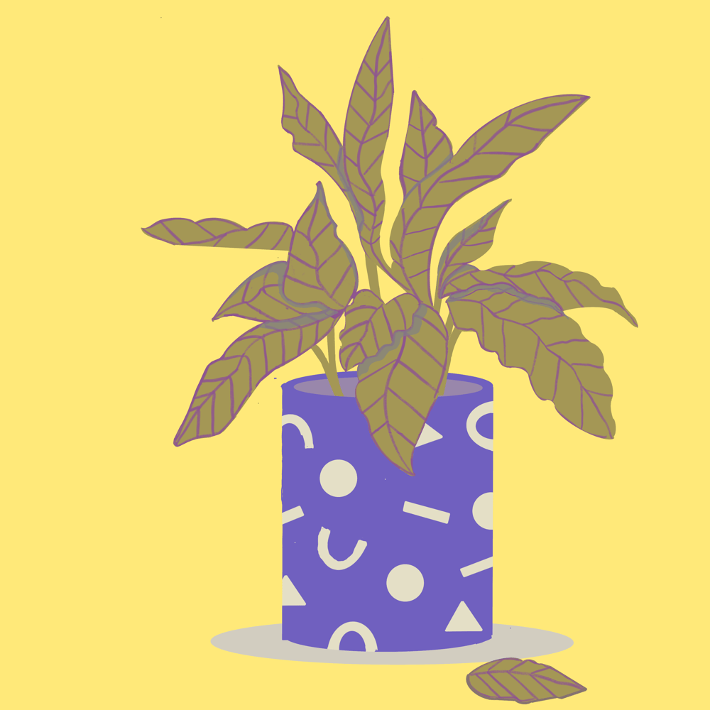 Color exercises | Skillshare Student Project