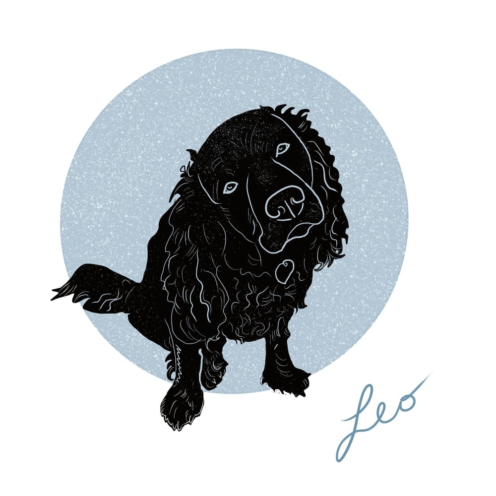 Cicada Linocut | Skillshare Student Project