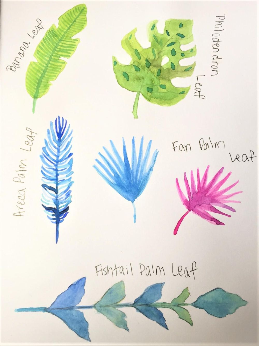 Watercolor Tropical Foliage | Skillshare Student Project